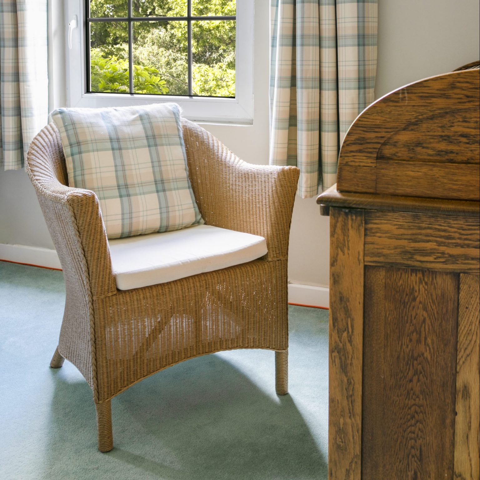 Cushions - DJS Lloyd Loom Furniture
